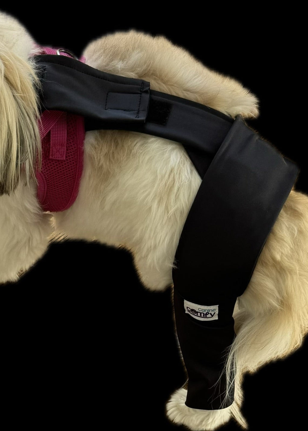 Custom Sleeve For Dog Healing Wounds - Canine Comfy