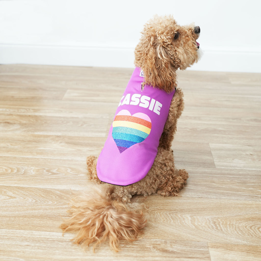 Personalized Dog Suits, Coats and Bandanas - Canine Comfy