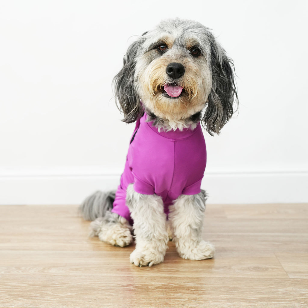 Female Athletic Dog Suit - Canine Comfy