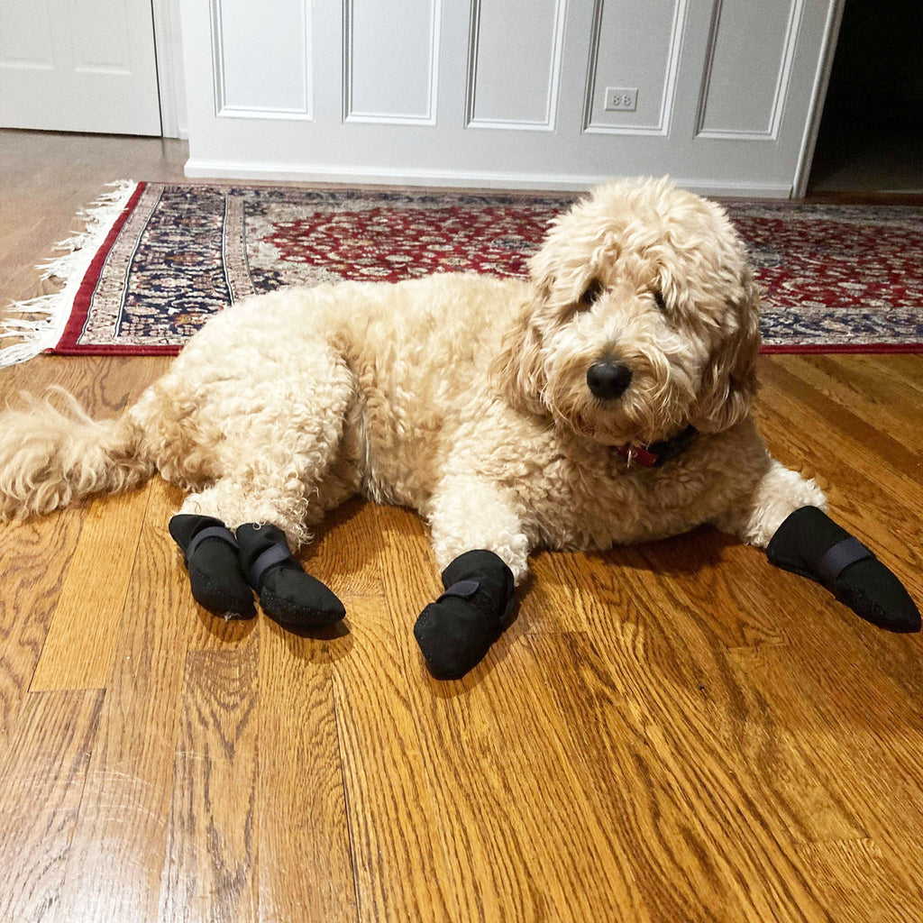 Medical Booties for Dogs from Canine Comfy